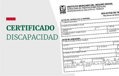 Constancia De Discapacidad Permanente Actualizado Julio The Best Porn