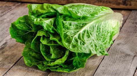 5 Trucos Para Conservar La Lechuga Fresca Y Que No Se Haga Fea