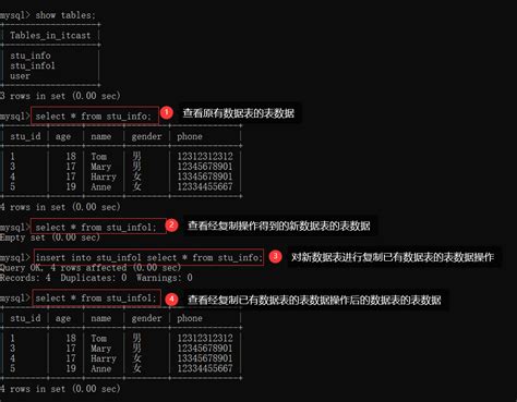 【mysql基础】mysql单表操作详解 mysql数据表说明 csdn博客