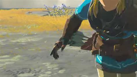 Zelda Tears Of The Kingdom Trailer Breakdown Theories And