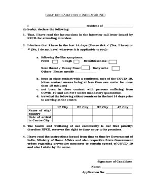 Fillable Online Self Declaration Statement 10 Examples Format