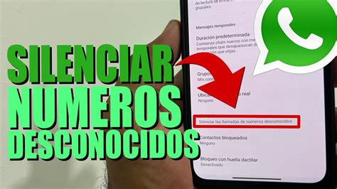 Cómo silenciar números desconocidos en WhatsApp YouTube