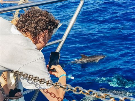 Grande Canarie croisière aux dauphins en catamaran et snorkeling