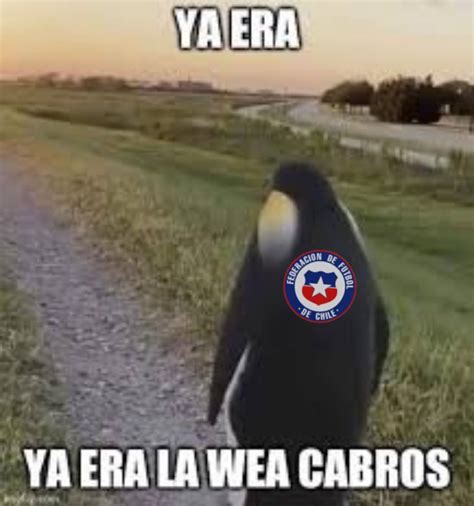 Ya era la weá cabros r chile