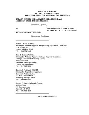 Appellate Brief Template Word Fill Online Printable