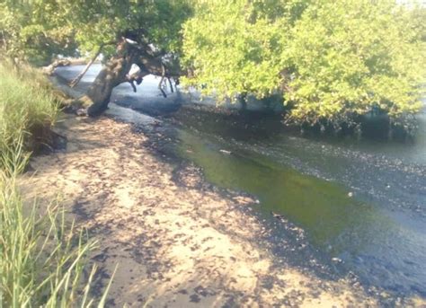 Cuencas Y Parques En Peligro Arco Minero Al L Mite Y Apoyo Para