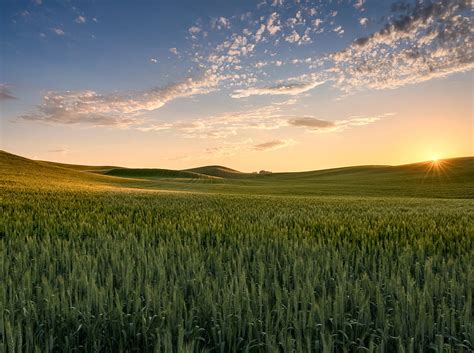 Sun Wheat Fields Near Palouse Washington Ultra Nature Landscape