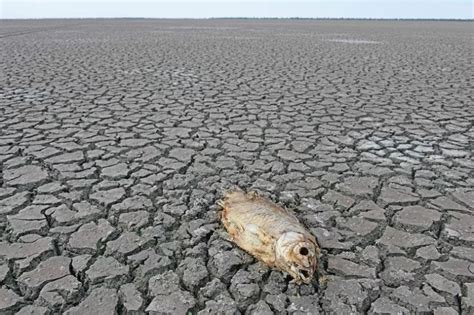 Ilmuwan Dunia Serentak Akui El Nino Telah Datang Di Bumi