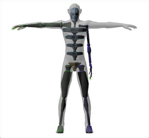 Scale The Biped Parts Ds Max Animation With Biped Book