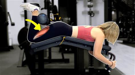 Los mejores ejercicios para FEMORAL cómo hacer CURL DE PIERNA YouTube