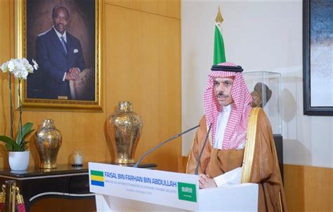Audience entre Le Président de la République S E Ali Bongo Ondimba et