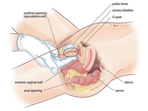 How Woman Feels During Intercourse Porn Pics Sex Photos XXX Images