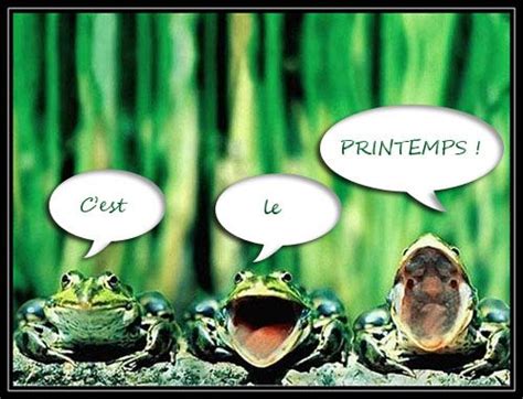 C Est Le Printemps Vive Les Grenouilles
