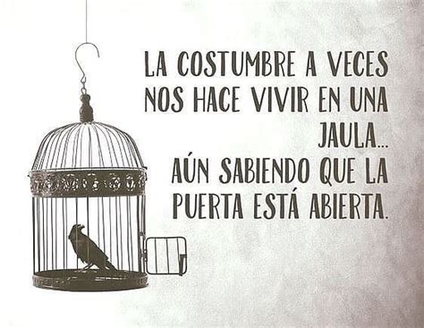 Si Quieres Entender A Una Persona No Escuches Sus Palabras Observa Su