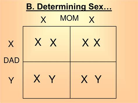 ppt non mendelian genetics powerpoint presentation free download id 5332600