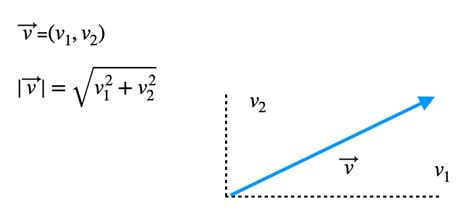 M Dulo De Un Vector Economipedia