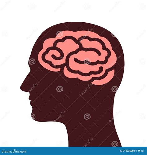 Head With Human Brain Stock Vector Illustration Of Neural 214036282