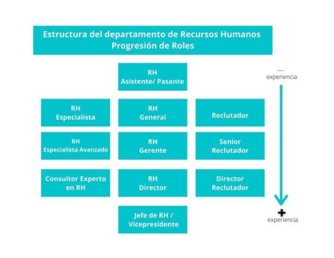 Subsistemas De Rh Quais São BRAINCP