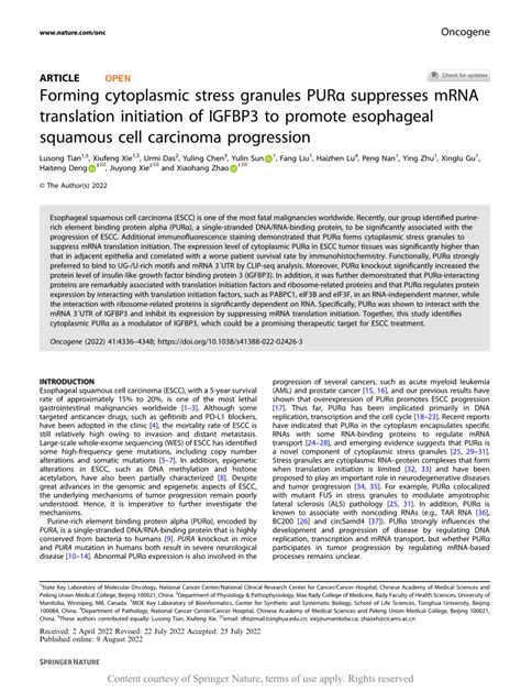 PDF Forming cytoplasmic stress granules PURα suppresses mRNA