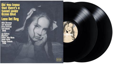 Buy Lana Del Rey Lana Del Rey Did You Know That There S A Tunnel