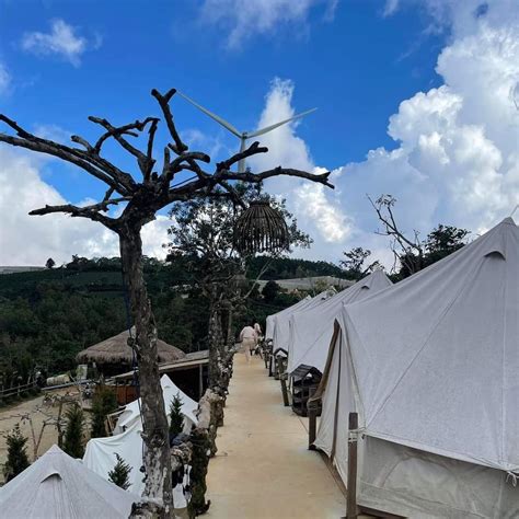 Tour Cắm Trại Glamping Đà Lạt Cloud View Glamping Lều King Cloud