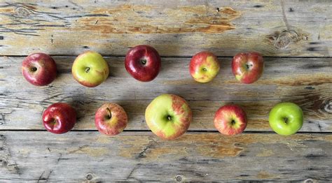 Apple Tree Flower Identification Best Flower Site