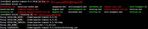 linux下安装tomcat服务器和部署web应用 csdn博客