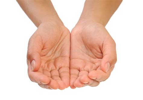 Cupped Hands Of Young Woman Isolated Stock Image Image Of Closely Caring 28383389