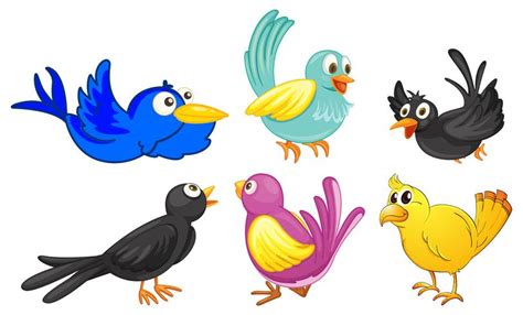 Aves Cores Diferentes 417570 Vetor No Vecteezy