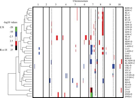 A Clustered Heat Map Showing The Log10P Profiles Of The Measured