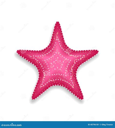 Estrela Do Mar Cor de rosa No Fundo Branco Ilustração do Vetor