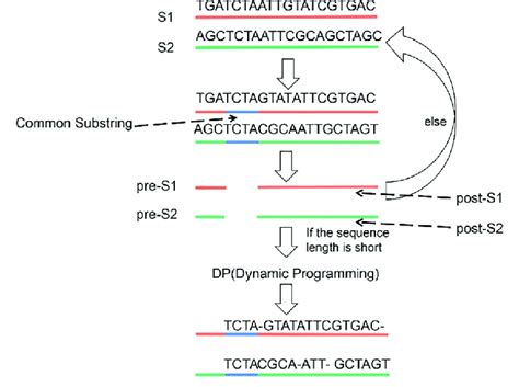 alignment procedure of needleman wunsch algorithm optimization by download scientific diagram