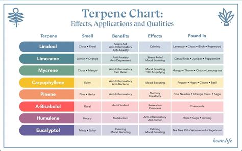 Understanding Terpenes Your Guide To Cannabis Terpenes Koan