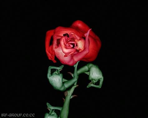 A Slice Of Smith Life Wordless Wednesday People Art