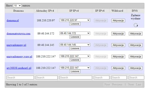 Jak Skonfigurowa W Asne Serwery Dns W Direct Admin