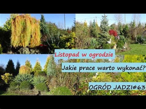 Listopadowy spacer Jakie prace warto wykonać w listopadzie Ogród