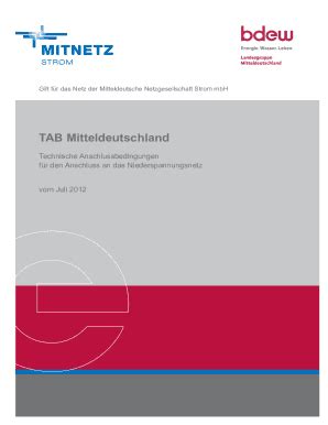 Ausfüllbar Online fr den Anschluss an das Niederspannungsnetz Fax Email