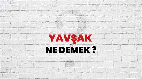 Yavşak Ne Demek Ne Anlama Gelir Yavşak Kelimesi TDK Sözlük Anlamı