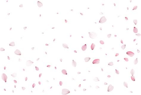 Pink Sakura Petals 10898295 PNG