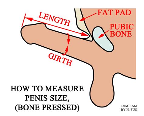 How To Measure Penis Size Album On Imgur