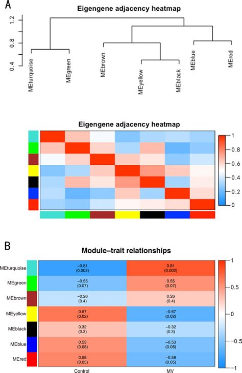 Moduletrait Correlations A Eigengene Adjacency Heatmap Eigengene
