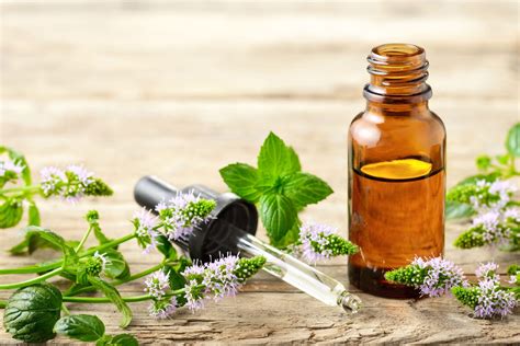 Huile essentielle de menthe poivrée migraine digestion