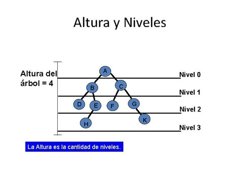 Estructuras De Datos Avanzadas Rboles Y Grafos Qu