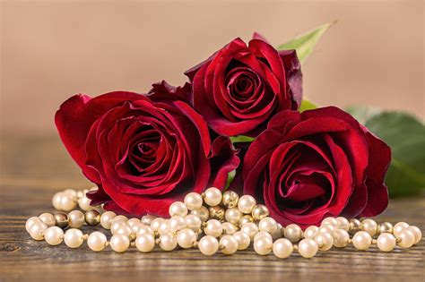 Pearl Necklace Roses Jewellery Free Photo On Pixabay Pixabay