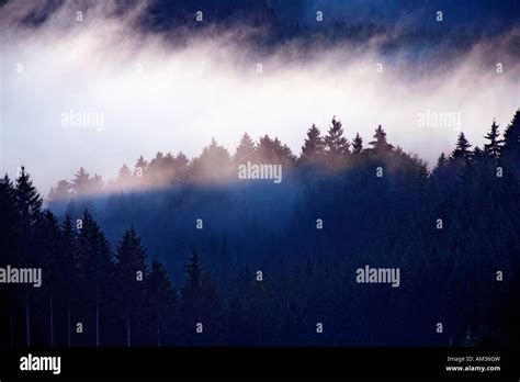 Fogbank Hi Res Stock Photography And Images Alamy