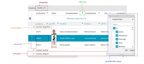 Structure RadGridView Telerik UI For WinForms