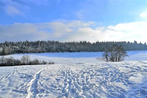 Schweizer Winterwetter und besten Monate für Schnee Vollständiger