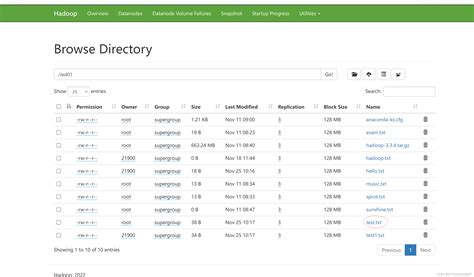 使用java api操作hdfs filesystem get csdn博客