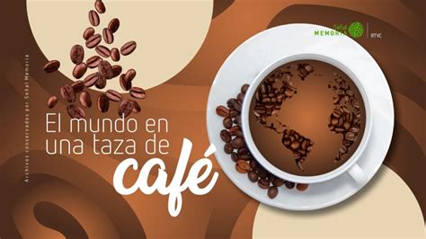El impacto del café en la memoria lo que debes saber LaTazadeCafe