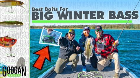 Going Bass Fishing With The Right Baits Winter Fishing For Big Bass